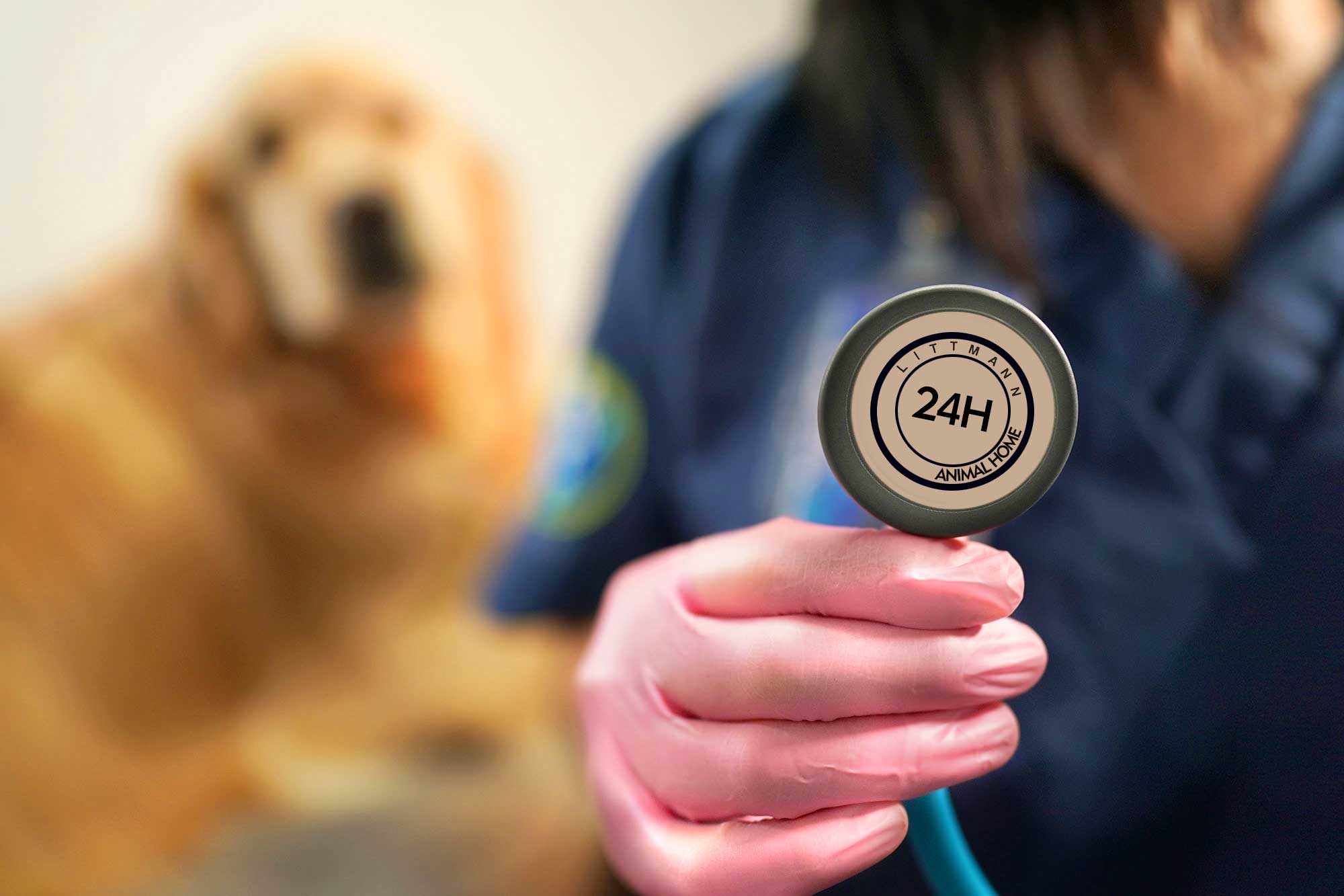 HOSPITAL VETERINARIO 24 HORAS MEXICO DF | ANIMAL HOME